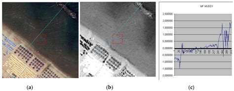 Automatic Shoreline Detection From Eight Band Vhr Satellite Imagery