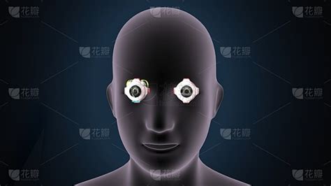 人体眼部解剖的3d渲染。