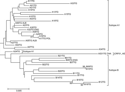 evolutionary relationships of hiv 1 sequences generated with the