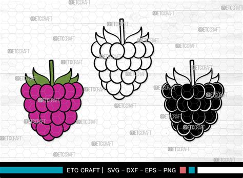 Raspberry Svg Raspberry Silhouette Graphic By Pixel Elites · Creative