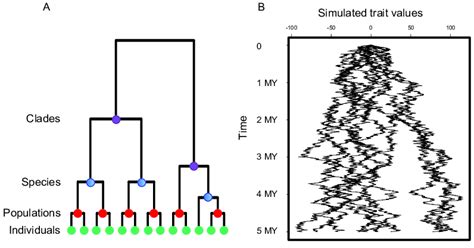 A Hierarchical Structure Of Biological Diversity Individuals Green