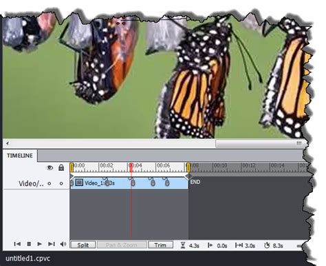 Edit Mouse Points Not Showing Mouse Points Adobe Community