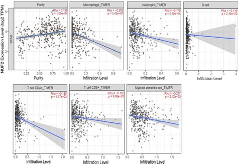 The Analysis Of Immune Cell Infiltration For Nuf2 Expression In Gc