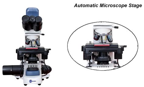 Upright Fluorescence Bioimager