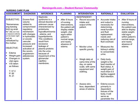 Nanda Nursing Diagnosis For Anxiety