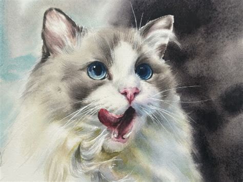 水彩猫猫 Flora图图麻麻 站酷ZCOOL