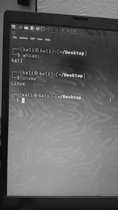 Basic Commands In Kali Linux For Beginners Shorts Ethical Hacker Coder Computer Viral