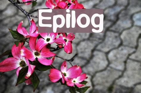 Epilog Font