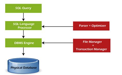 Introduction To Sql Programming A Beginner S Guide