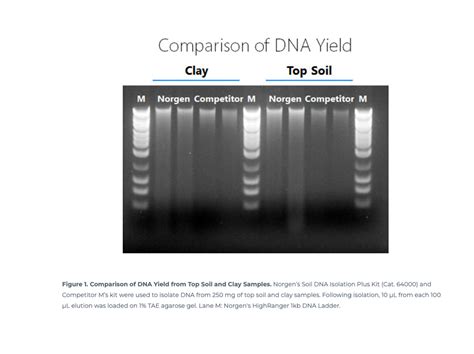 Norgen Biotek™ Soil Dna Isolation Plus Spin Column Kit 50 Preps