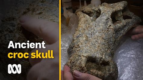 Extinct Australian Predator Ate Megafauna For Breakfast Abc Australia Youtube