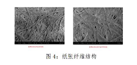 是否为同一打印机一次性打印形成的文书鉴定 司法部案例