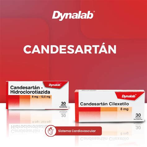 Dynalab Ve Valencia