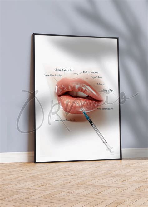 Lip Anatomy Poster Lip Anatomy Print Lip Filler Poster Nurse
