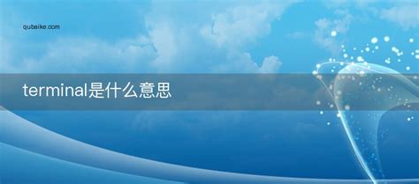 Terminal是什么意思 Terminal的中文翻译趣百科