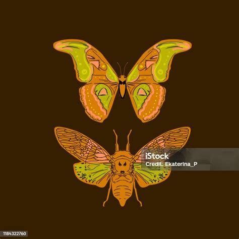 나비 매미 스케치 어두운 갈색 배경에 노란색 오렌지 겨자 올리브 녹색 윤곽 간단한 예술 선물 포장 직물 배경 화면에 사용할 수 있습니다 벡터 개체 그룹에 대한 스톡 벡터
