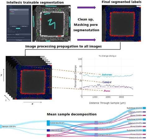 The Role Of Autocatalysts