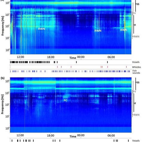 Color Online Power Spectrum Density Analysis For Each Condition