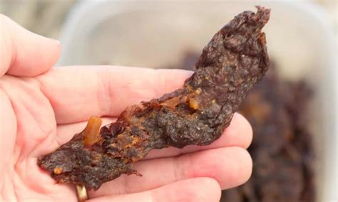 Homemade Venison Jerky Pemmican Style Recipe That Susan Williams
