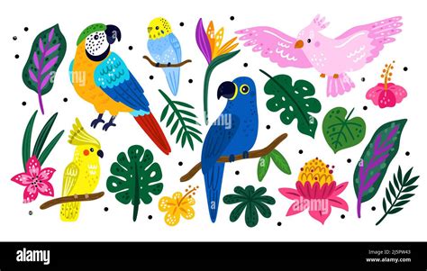 Tropical Birds And Plants Caribbean Wildlife Rainforest Exotic Flower