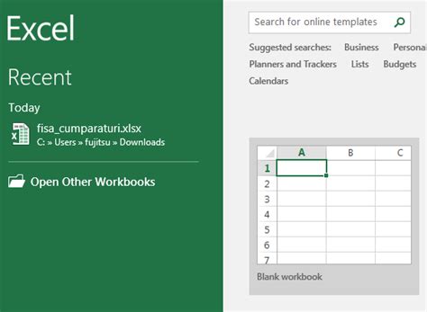 Fisa Excel 1