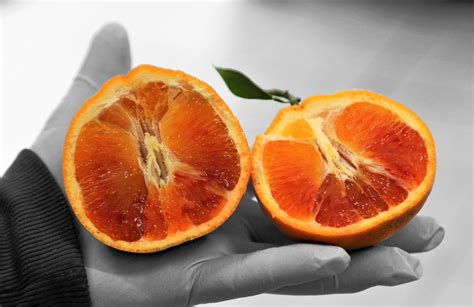 Fruta Saludable Maduro Foto Gratis En Pixabay Pixabay