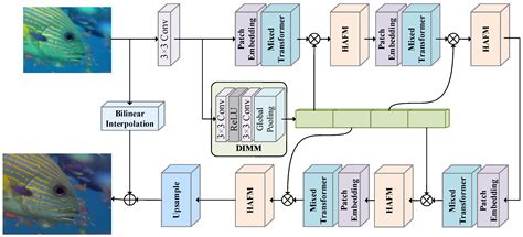 Dynamic Structure Aware Modulation Network For Underwater Image Super
