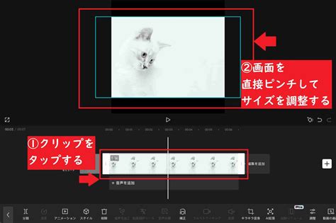【画像付き】capcutで動画のサイズを変更する方法を紹介！ ヒーハーマッサン