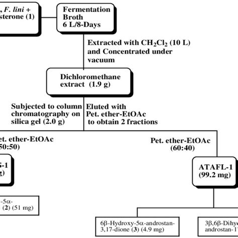 Scheme Fermentation And Extraction Conditions Download Scientific Diagram