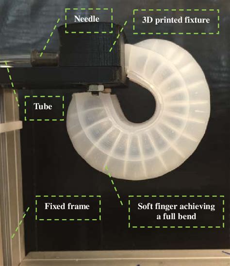 Measurements Made Using The Image Processing Program Download Scientific Diagram