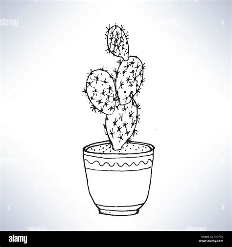 Isolated Hand Drawn Lineart A Potted Plant Stock Vector Image And Art Alamy