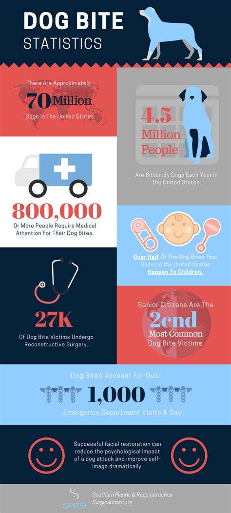 Facial Reconstructive Surgery After A Dog Attack Sprsi