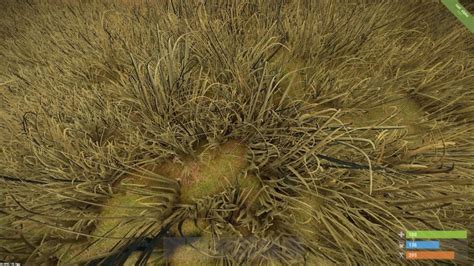 How To Turn Off Grass In Rust How To Guides