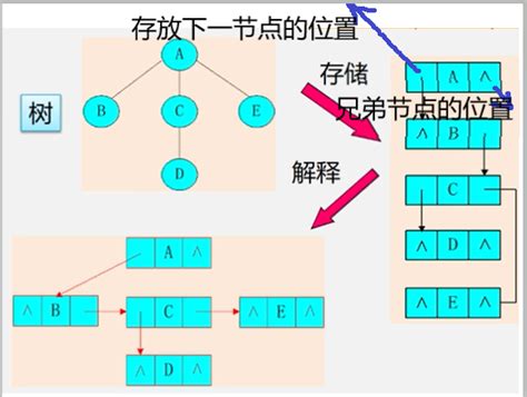 【树与二叉树的转换，哈夫曼树的基本概念】csdn树和二叉树的转换 Csdn博客