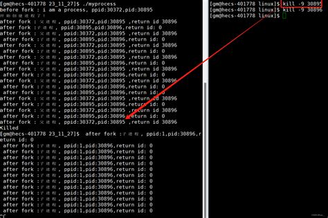 Linux进程管理：cwdfork机制与进程状态 Csdn博客
