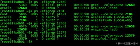 查看linux Swap占用进程swap使用率过高查看进程 Csdn博客