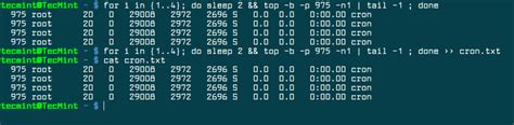How To Save Top Command Output To A File