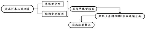 一种基于三代测序的胚胎植入前遗传学检测方法与流程