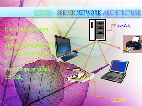 basic networking concepts