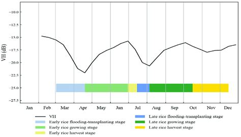 The Temporal Series Of Satellite Based Vh At A Double Season Paddy Rice