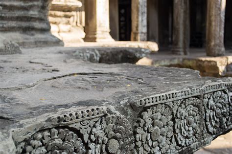 8 Biomorphic Forms And Patterns Rootedinnature