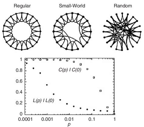 Figure 1 From Small World Brain Networks Semantic Scholar