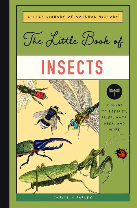 The Little Book Of Insects Cheekwood