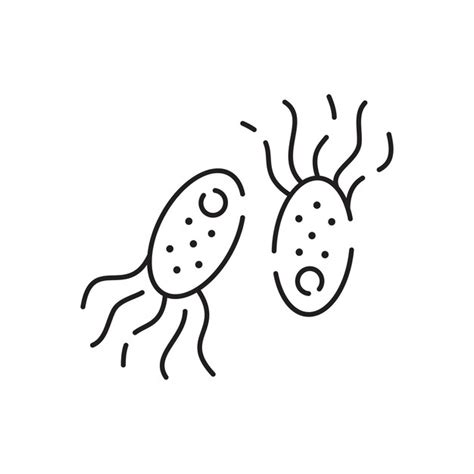 Premium Vector Microbe And Bacterium Line Icon