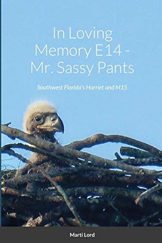 In Loving Memory E14 Mr Sassy Pants Southwest Floridas Harriet And