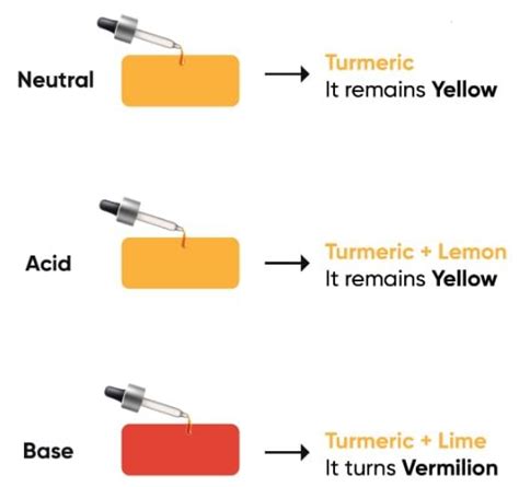 Class 7 Science Chapter 2 Question Answers Exploring Substances