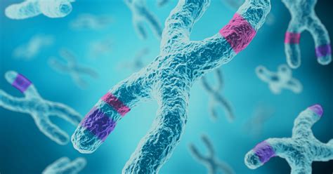 Sequencing 101 Structural Variation PacBio
