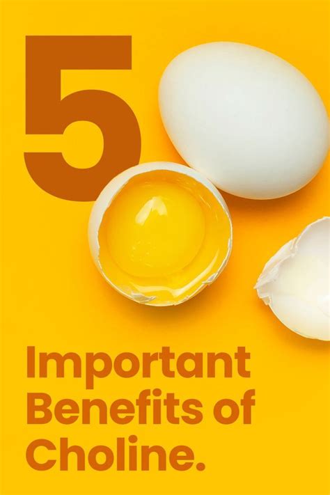 Choline Artofit