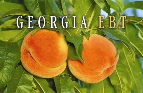 Renew My Benefits Georgia Food Stamps Help