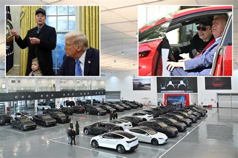 Tesla To Delay US Launch Of Cheaper Model Y In Major Setback For Elon